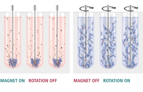 chemagic Prepito® | ELISABETH PHARMACON, spol. s r.o.