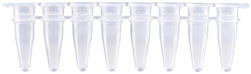 αPlastic PCR 8-well strip tube 0.2, Flat Frosted Caps | ELISABETH ...
